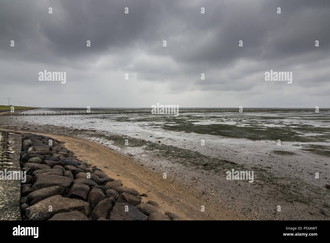 Danish Wadden Sea on cloudy day. Romo Island, Denmark Stock Photo - Alamy