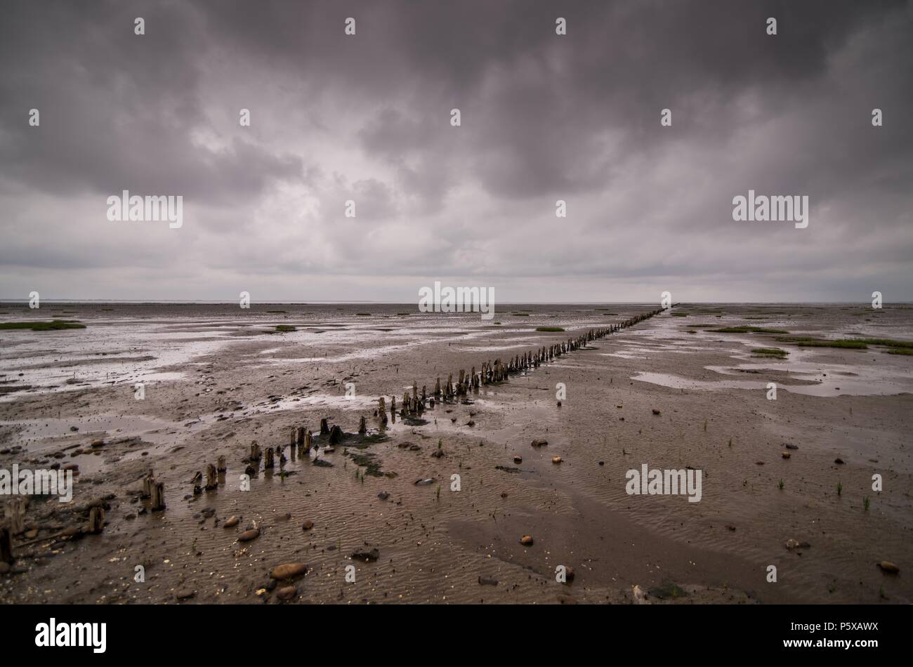 Danish Wadden Sea on cloudy day. Romo Island, Denmark Stock Photo - Alamy