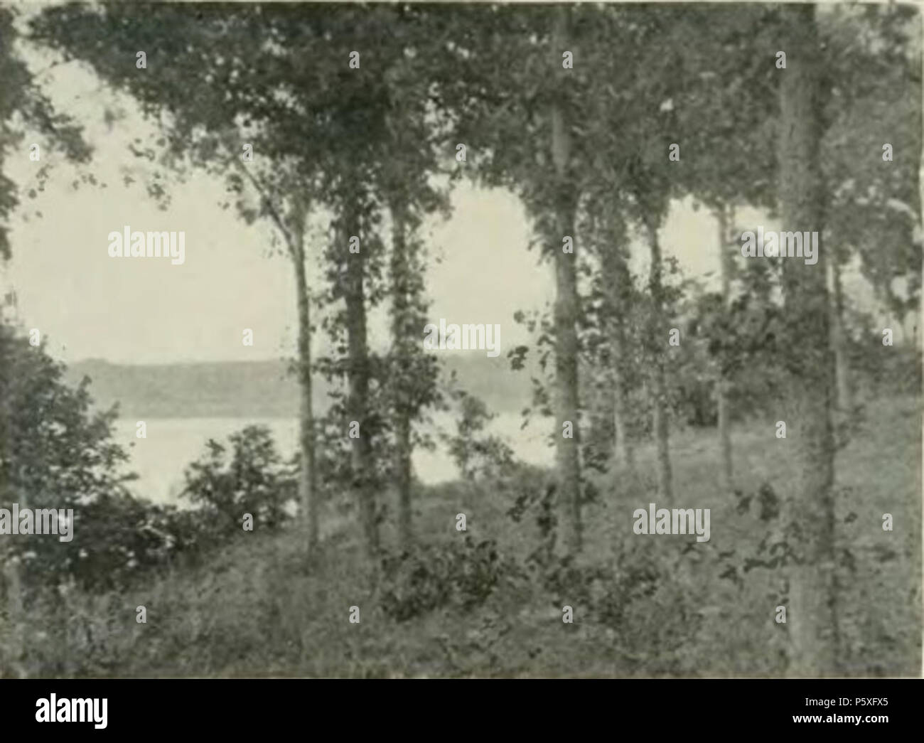 N/A. Illustration in History of Iowa From the Earliest Times to the ...