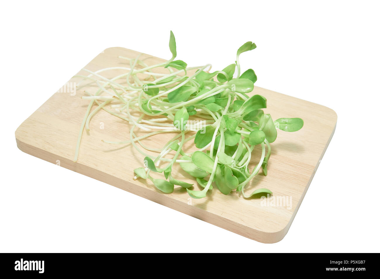 Cutting sapling hi-res stock photography and images - Alamy