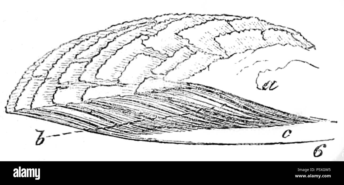 Class 374 hi-res stock photography and images - Alamy