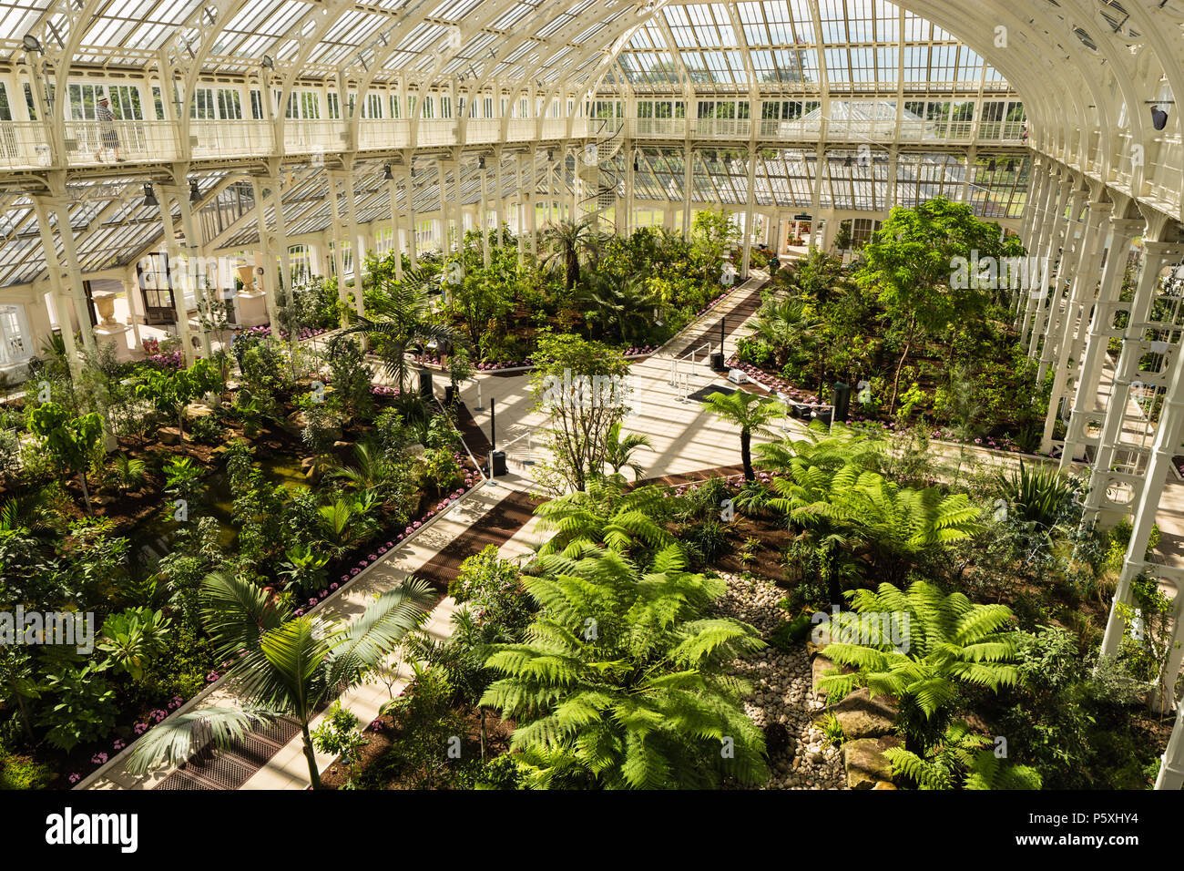 Temperate house at Kew RBG, interior view Stock Photo - Alamy
