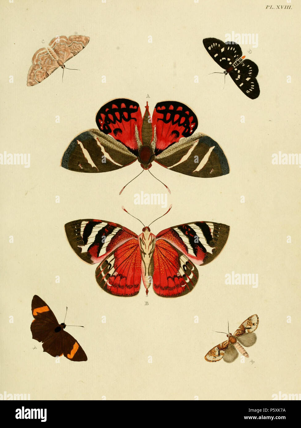 Milete hi-res stock photography and images - Alamy