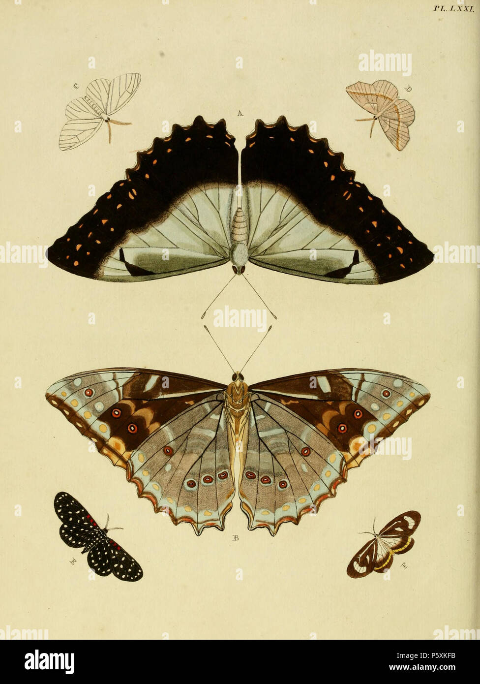 Dioptis hi-res stock photography and images - Alamy