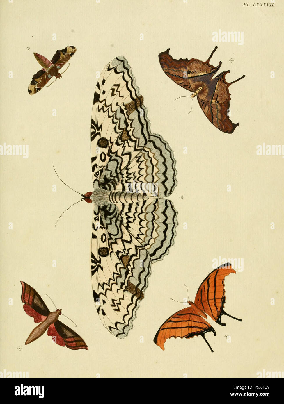 Japix hi-res stock photography and images - Alamy