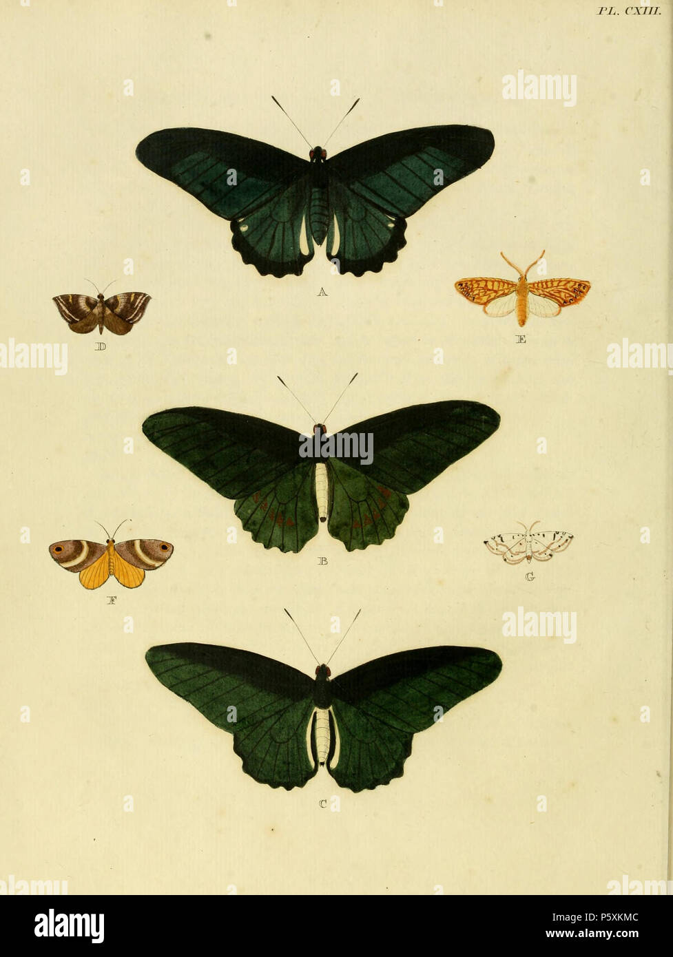 Lycidas hi-res stock photography and images - Alamy