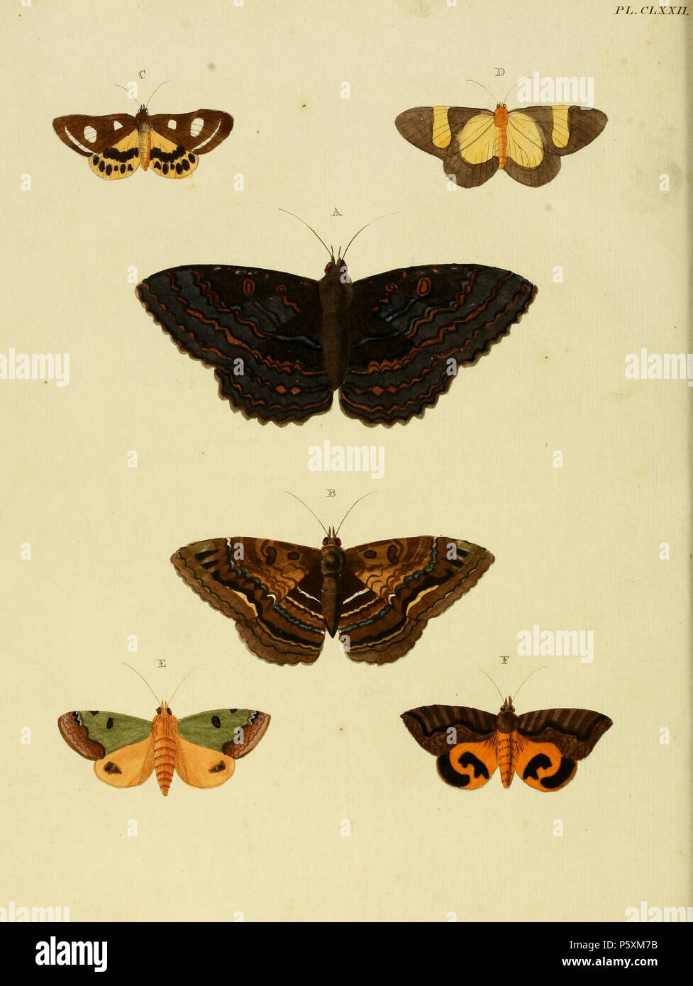 Letis hi-res stock photography and images - Alamy