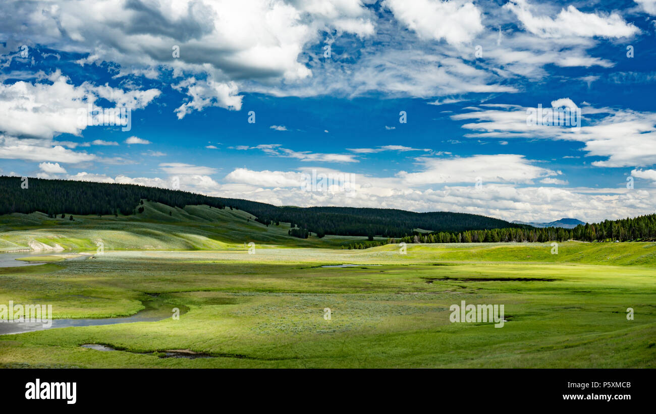 Hayden Valley in Yellowstone National Park, Wyoming Stock Photo - Alamy