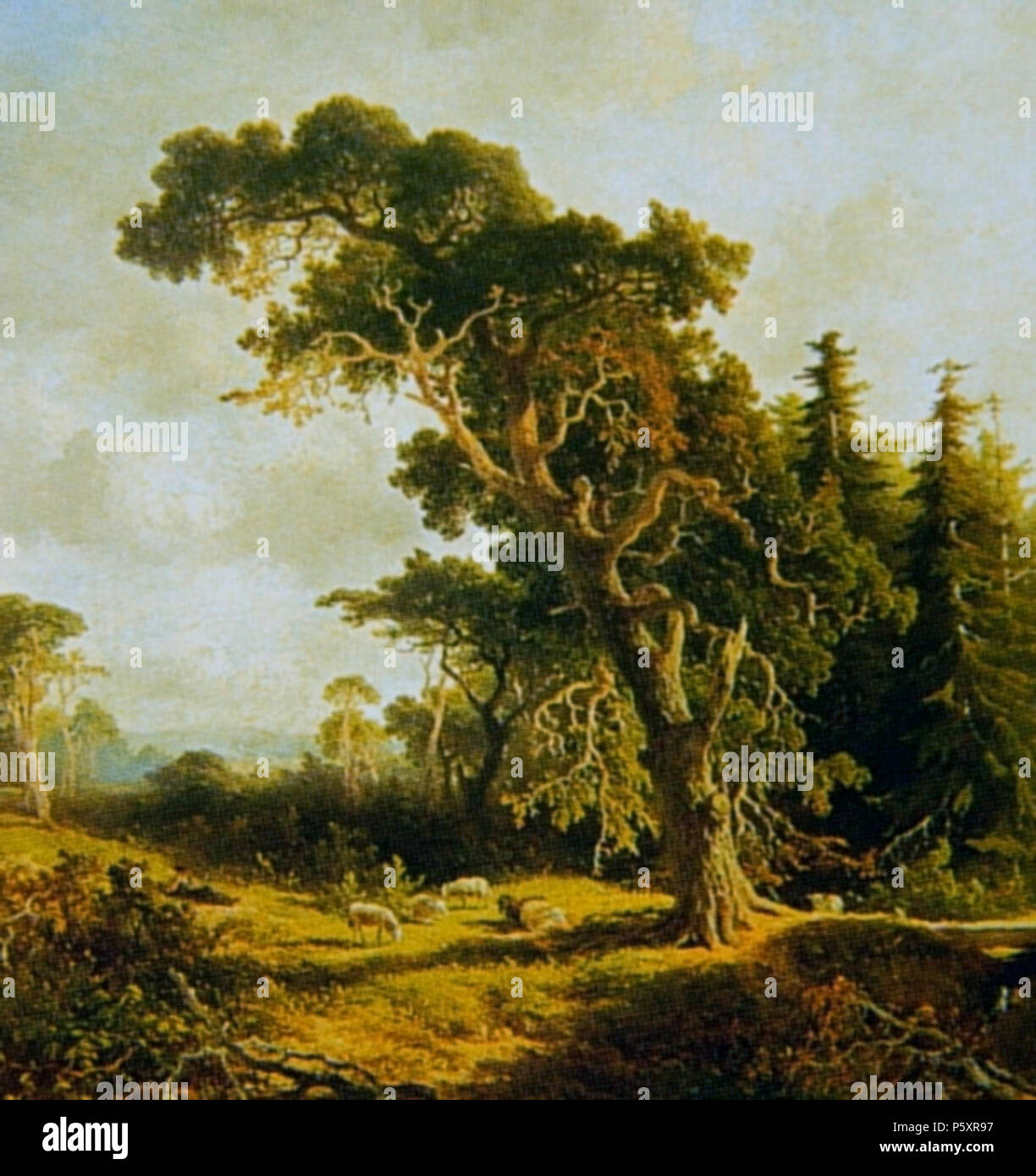 N/A. Nederlands: 'Duizendjarige den'. Zeer oude grove den circa 1850 ...