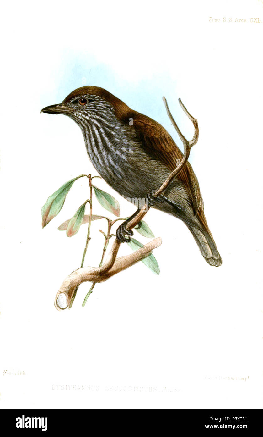 Joseph Wolff High Resolution Stock Photography and Images - Alamy