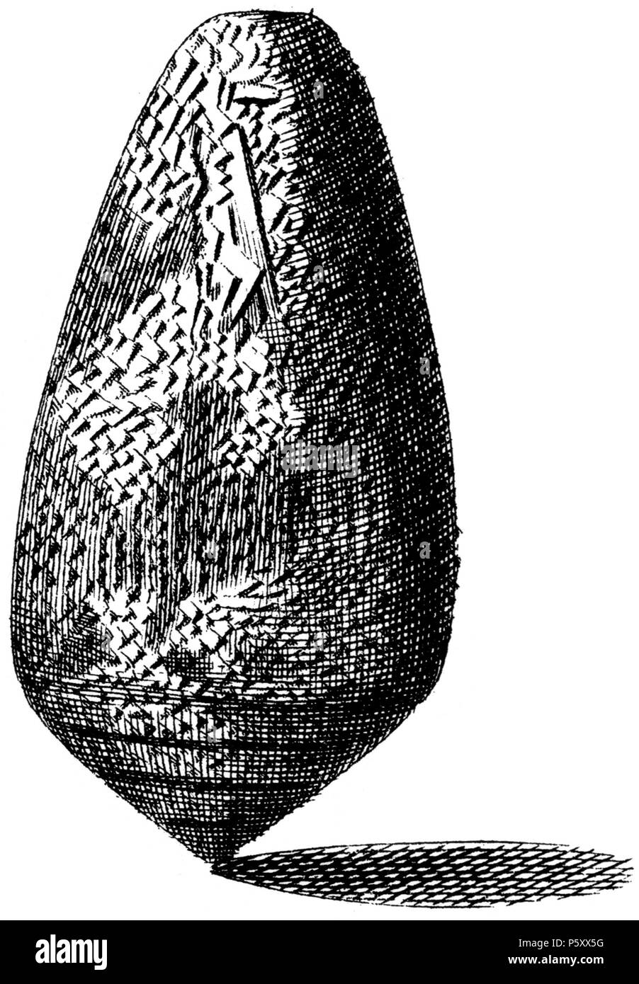 Conus textile linnaeus hi-res stock photography and images - Alamy