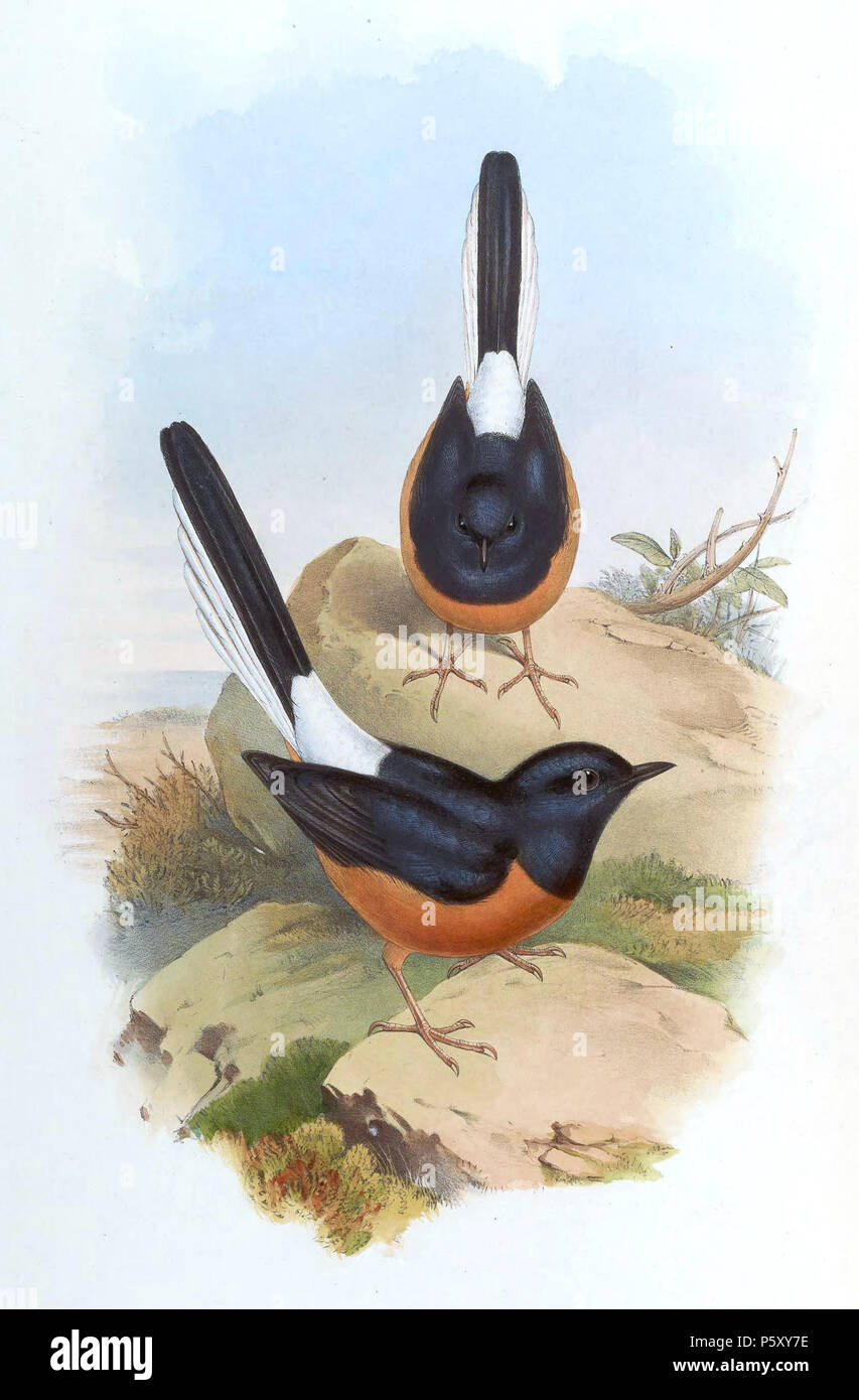 W hart hi-res stock photography and images - Alamy