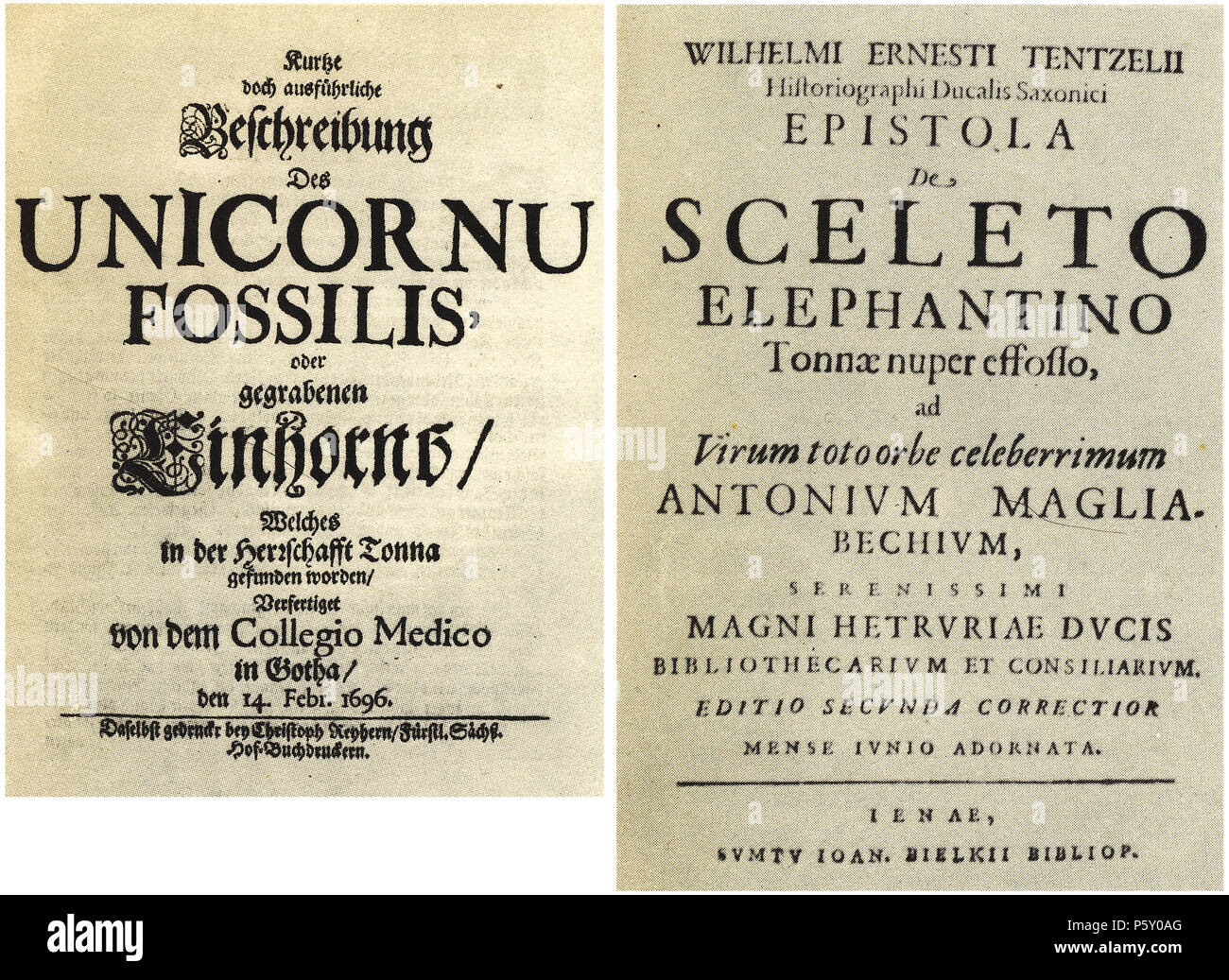 Elephas antiquus hi-res stock photography and images - Alamy