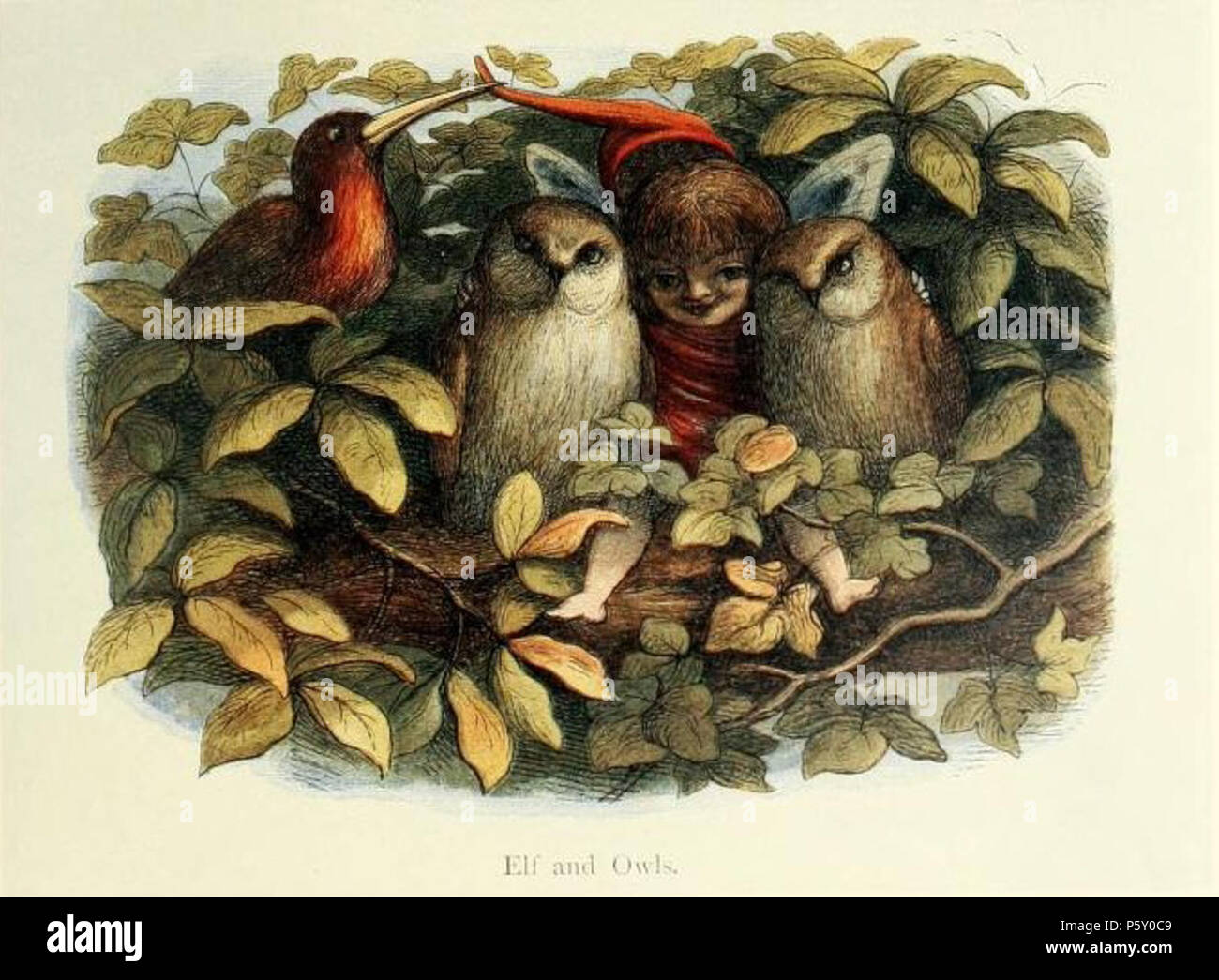 Richard 1824 1883 hi-res stock photography and images - Alamy