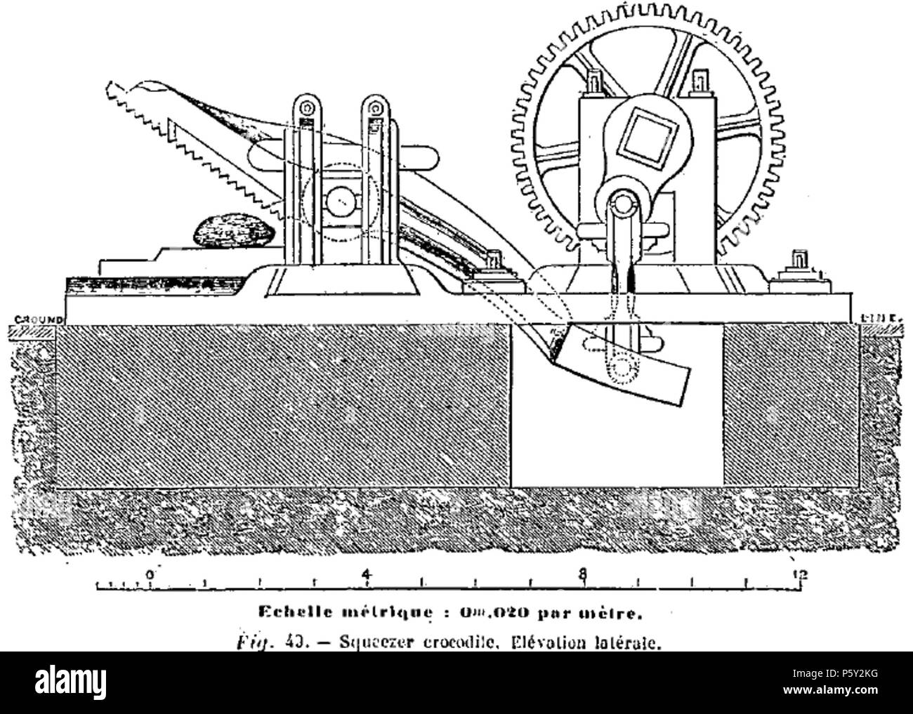 Squeezer Black and White Stock Photos & Images - Alamy