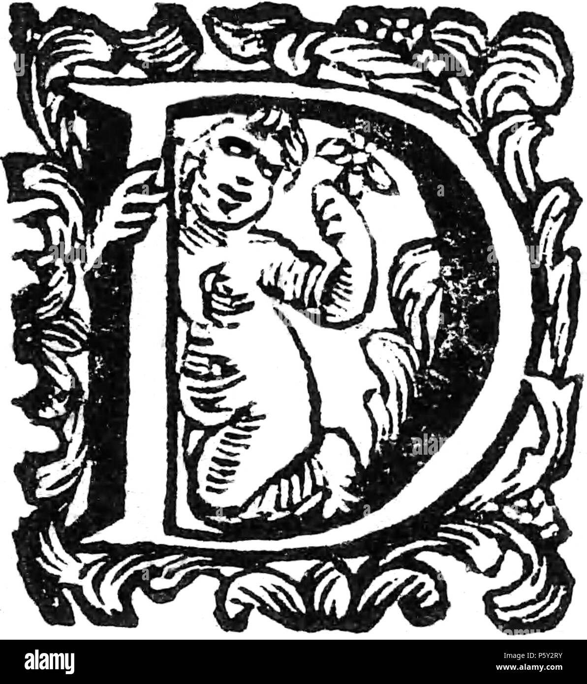 Lettera d hi-res stock photography and images - Alamy