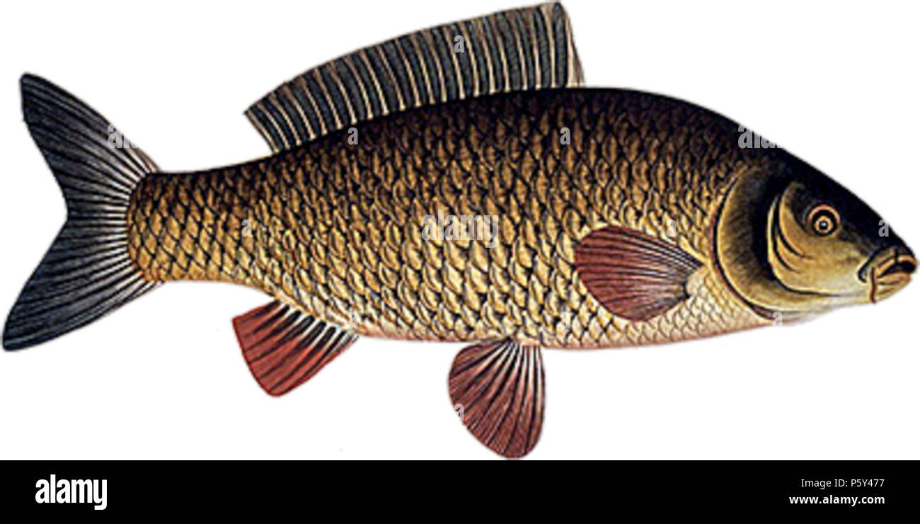 Tfa hi-res stock photography and images - Alamy