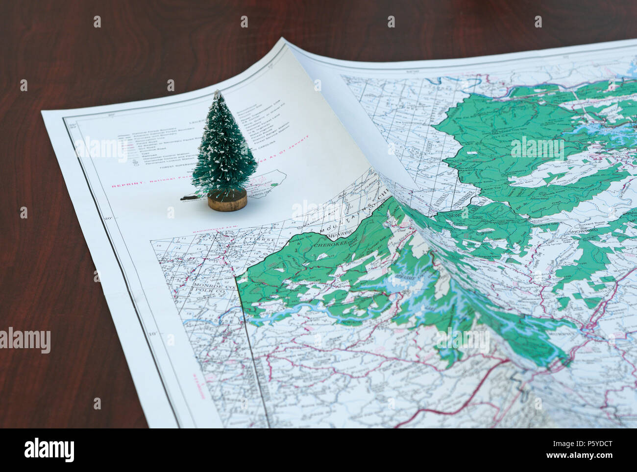 miniature tree on US National Forest hiking map Stock Photo - Alamy