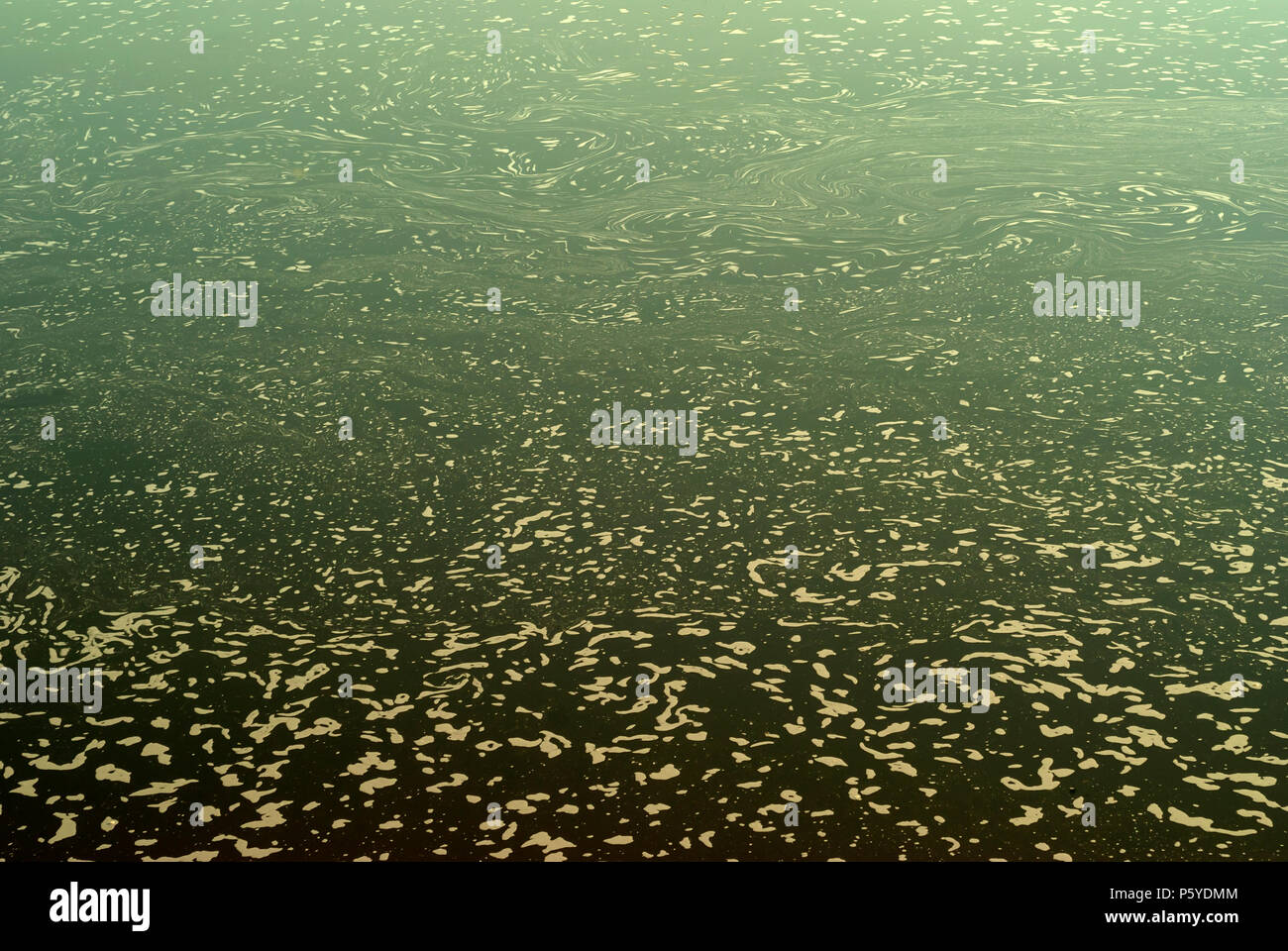 background - the surface of contaminated industrial waste water Stock ...