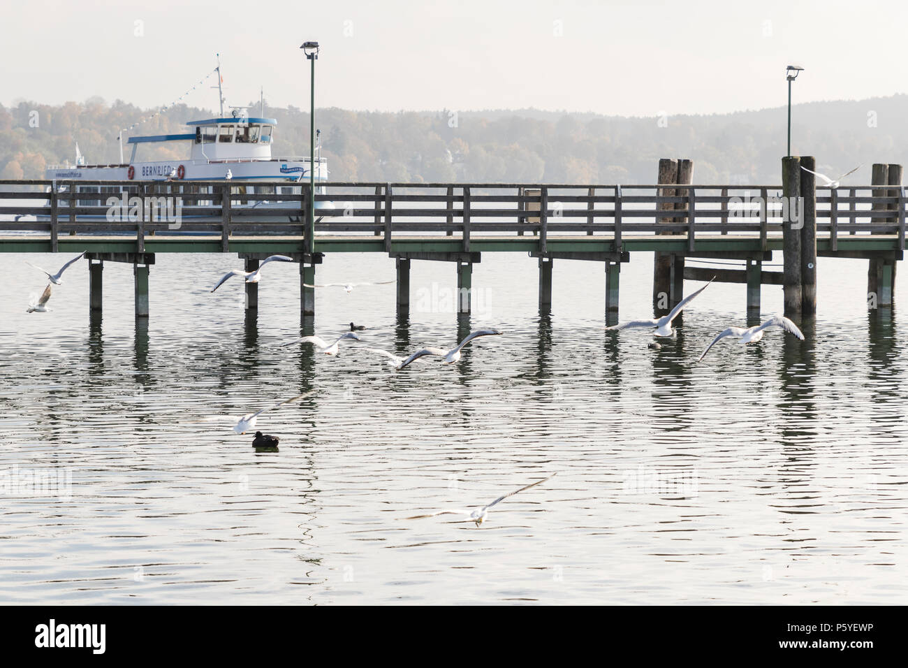 The Starnberg Lake near Tutzing Bavaria Germany Stock Photo - Alamy