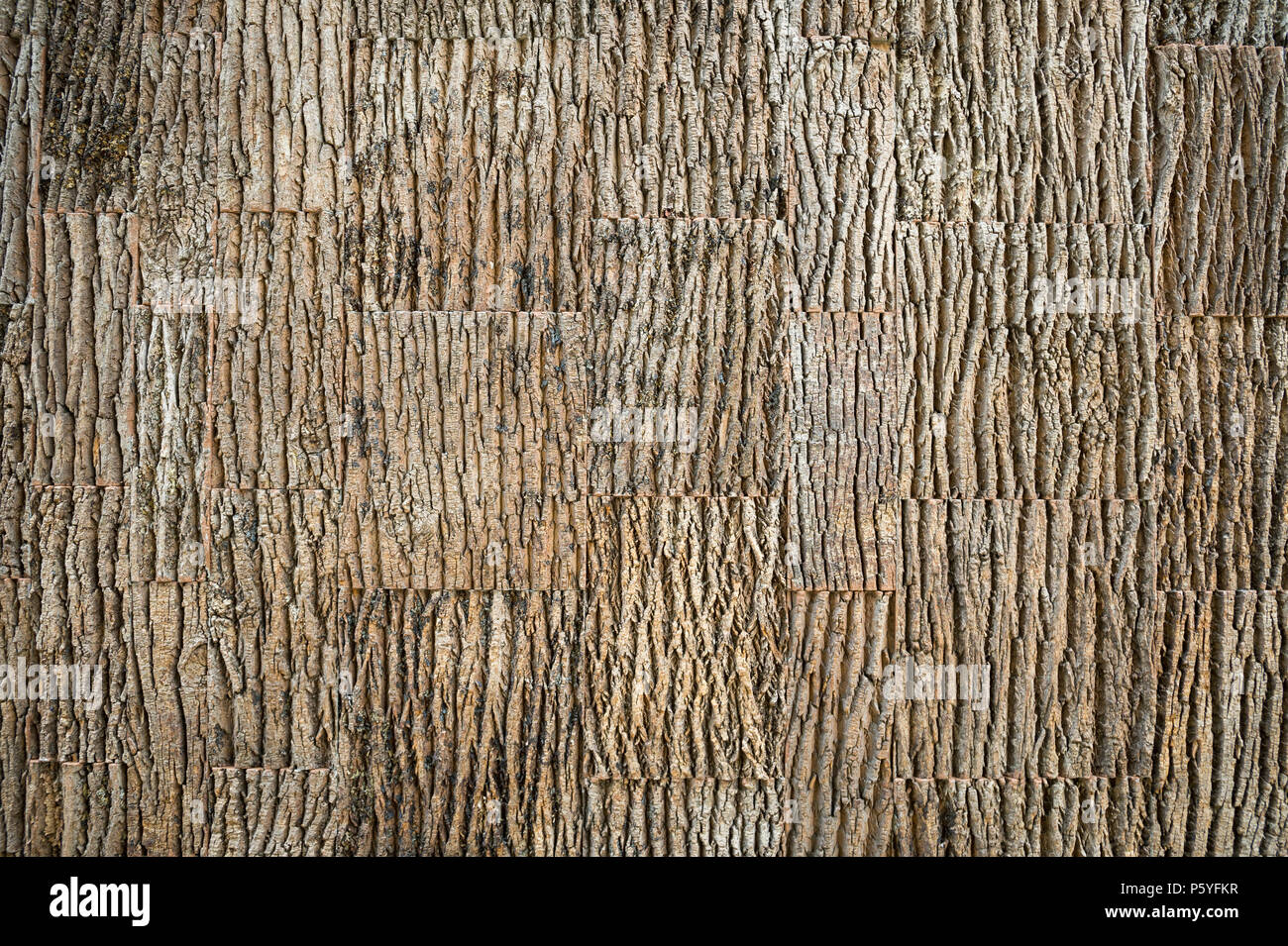 Abstract textured background of tree bark tiles Stock Photo - Alamy