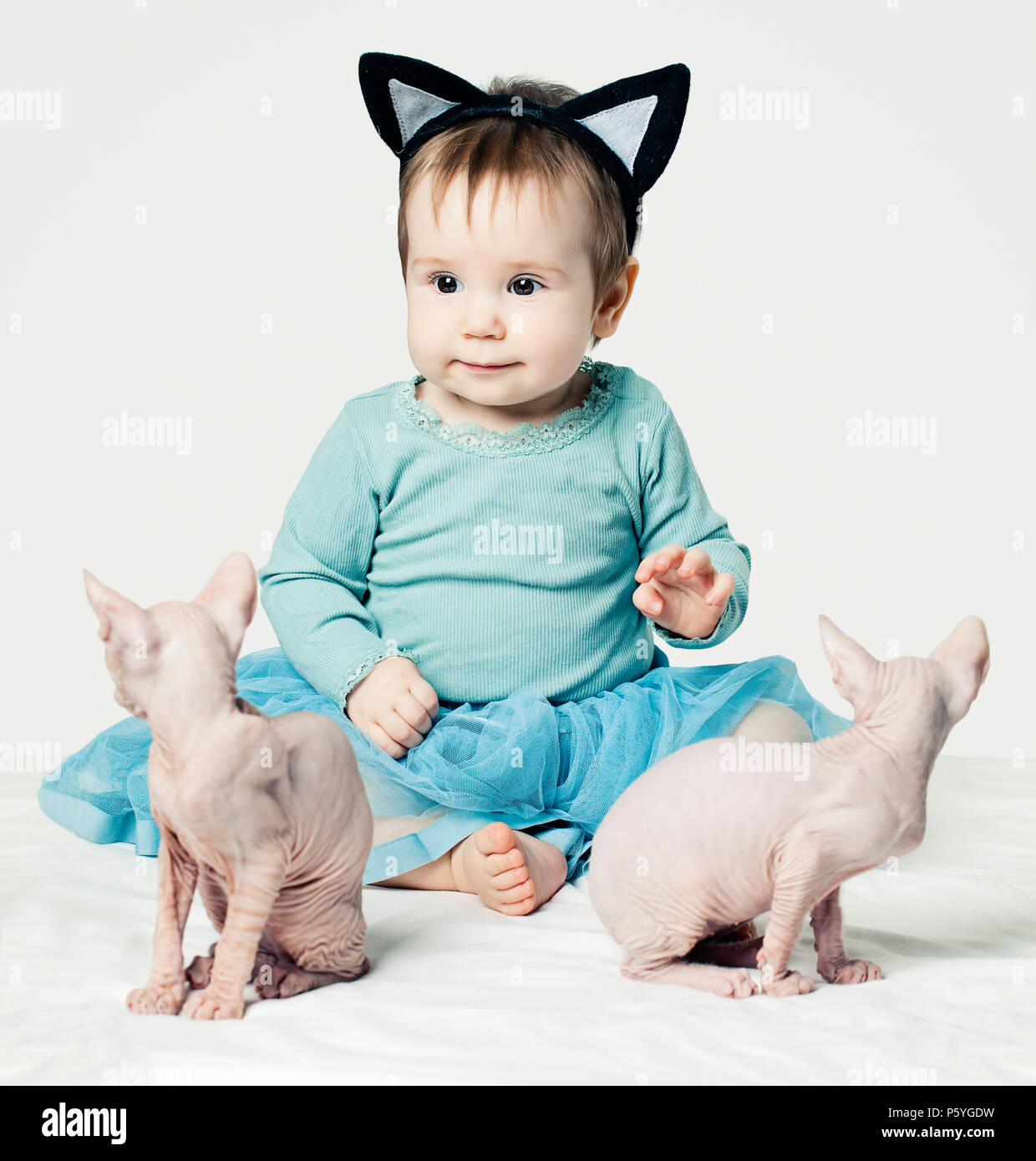 Hairless Tiny Baby Kittens