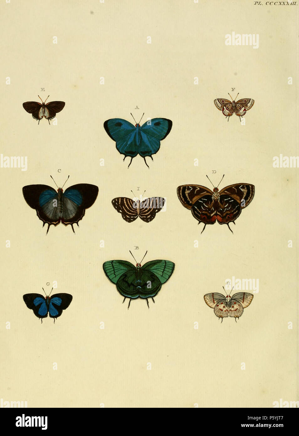 Megacles High Resolution Stock Photography and Images - Alamy