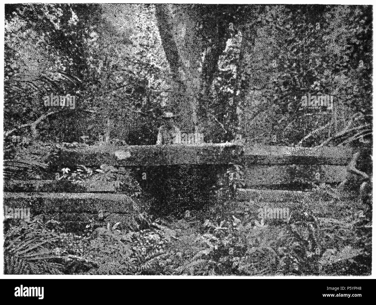 D249 Black and White Stock Photos & Images - Alamy