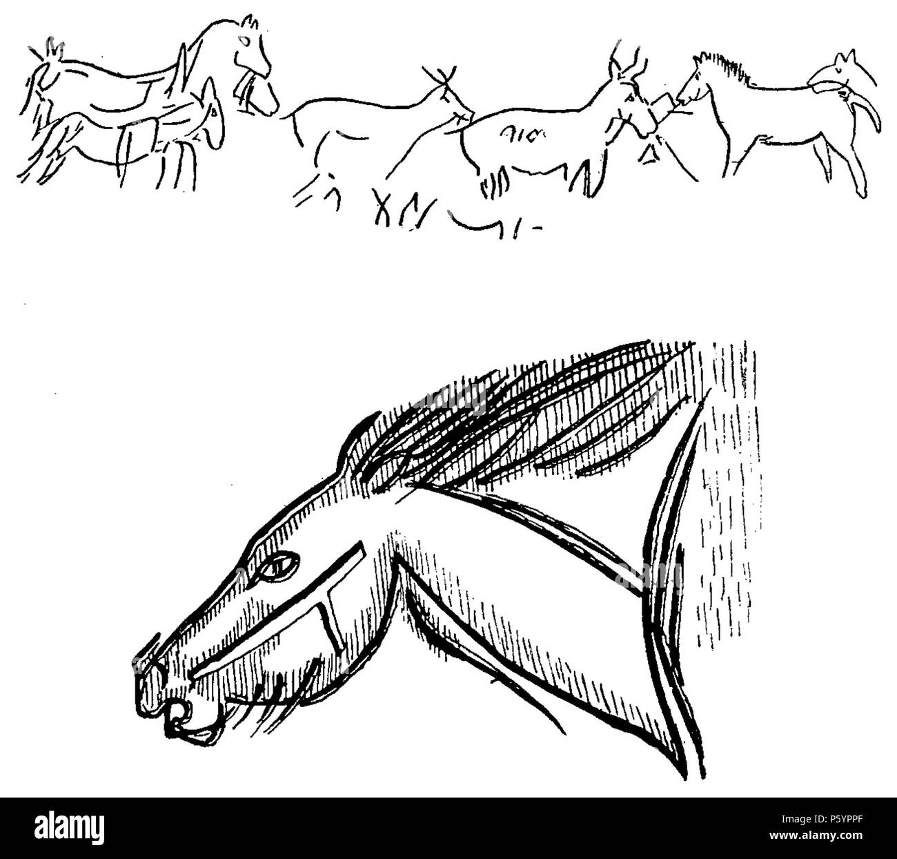 401 D279- figuration d'animaux - grotte de combarelles. - L1-Ch5 Stock ...