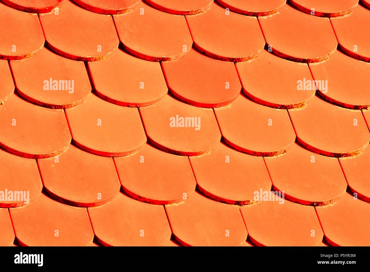 Beaver tail roof tile hi-res stock photography and images - Alamy