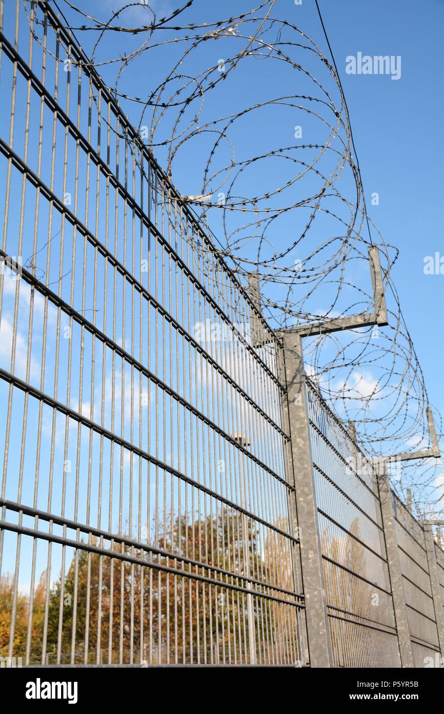 Barbed wire on a fence Stock Photo - Alamy