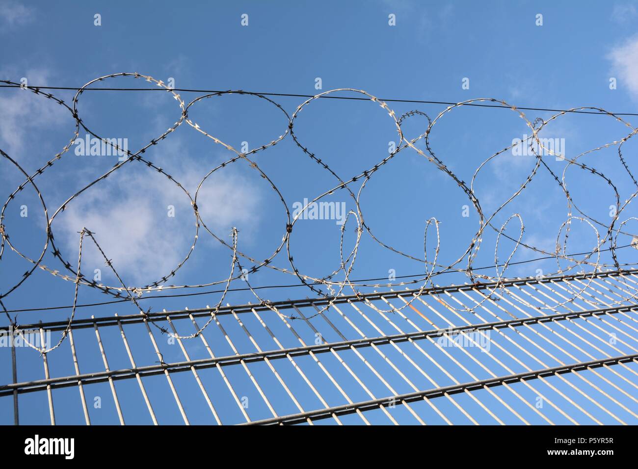 Barbed wire on a fence Stock Photo - Alamy
