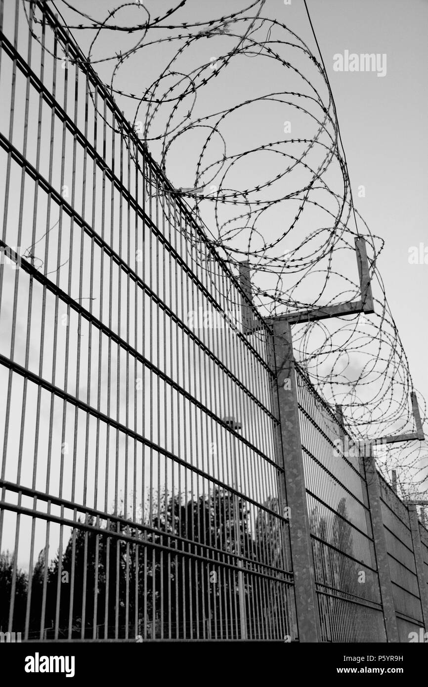 Barbed wire on a fence Stock Photo - Alamy