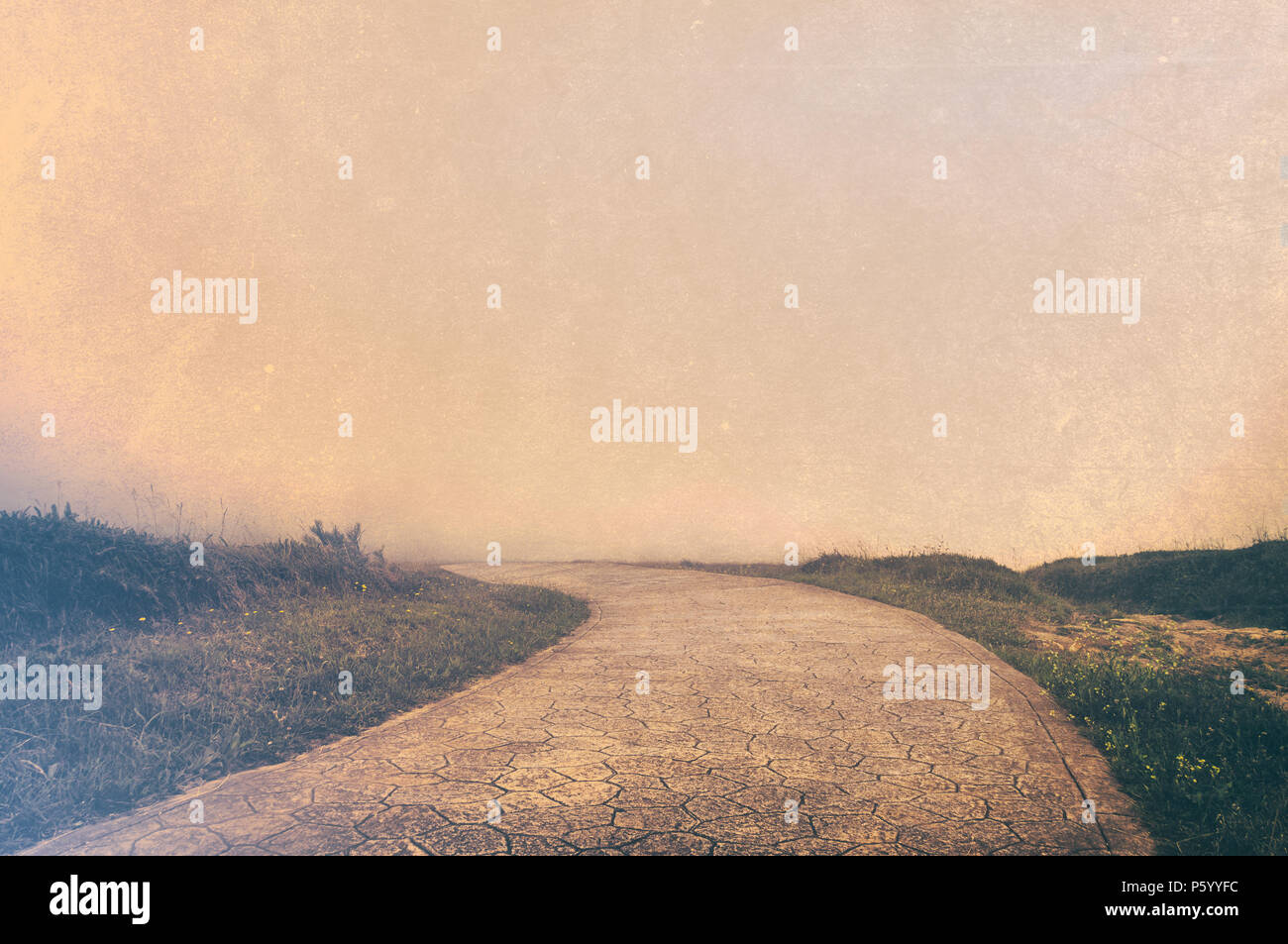 vintage path in nature with grungy textures Stock Photo - Alamy