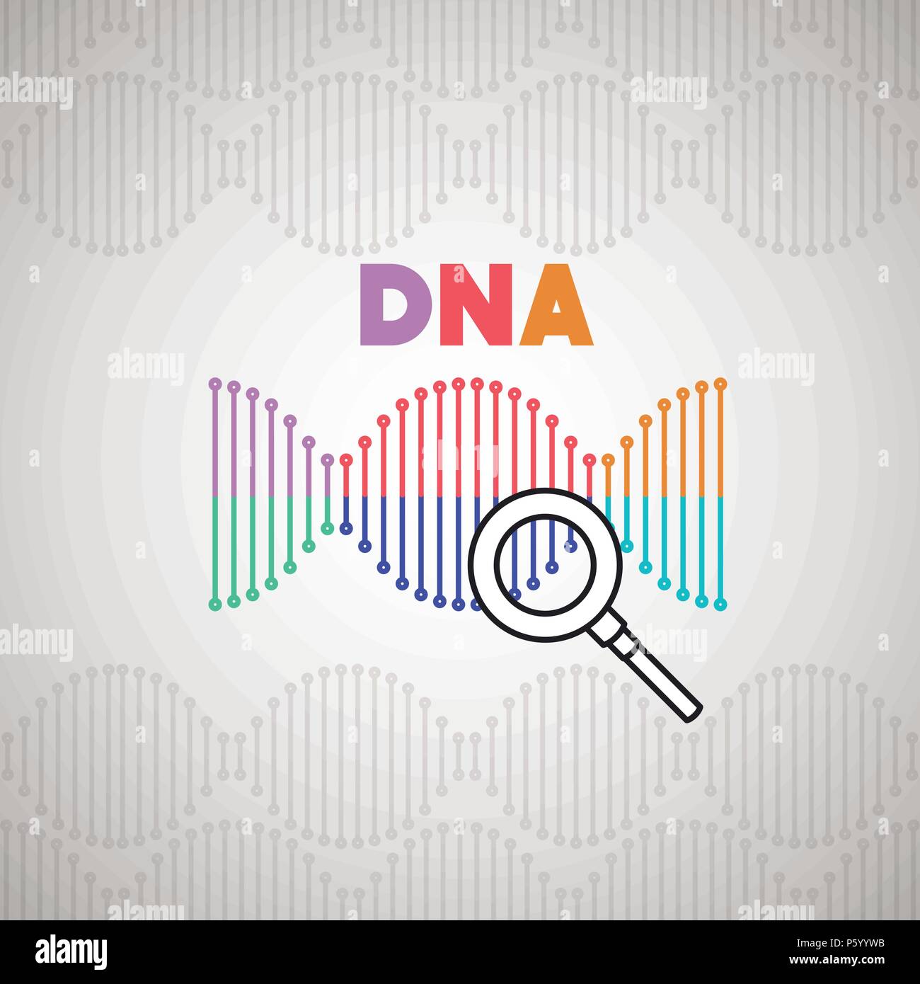 dna molecule with magnifying glass Stock Vector Image & Art - Alamy
