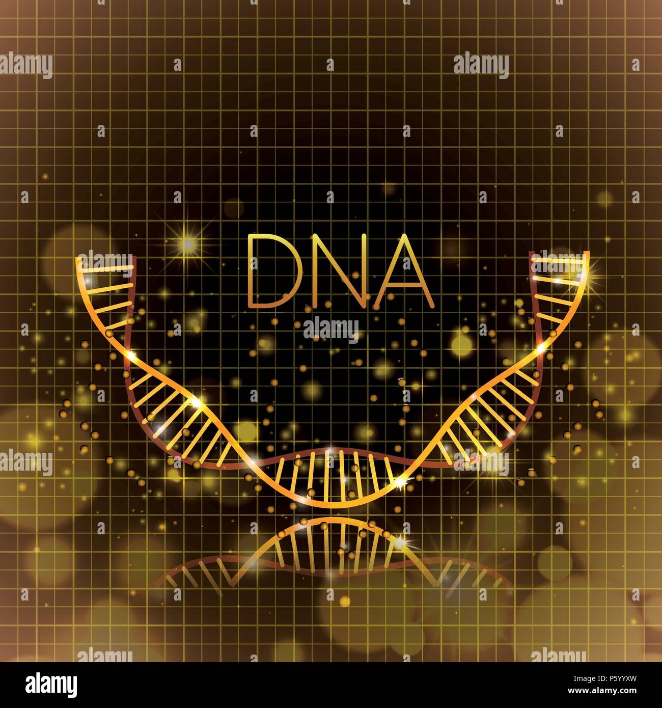 dna molecule half circle golden structure Stock Vector Image & Art - Alamy