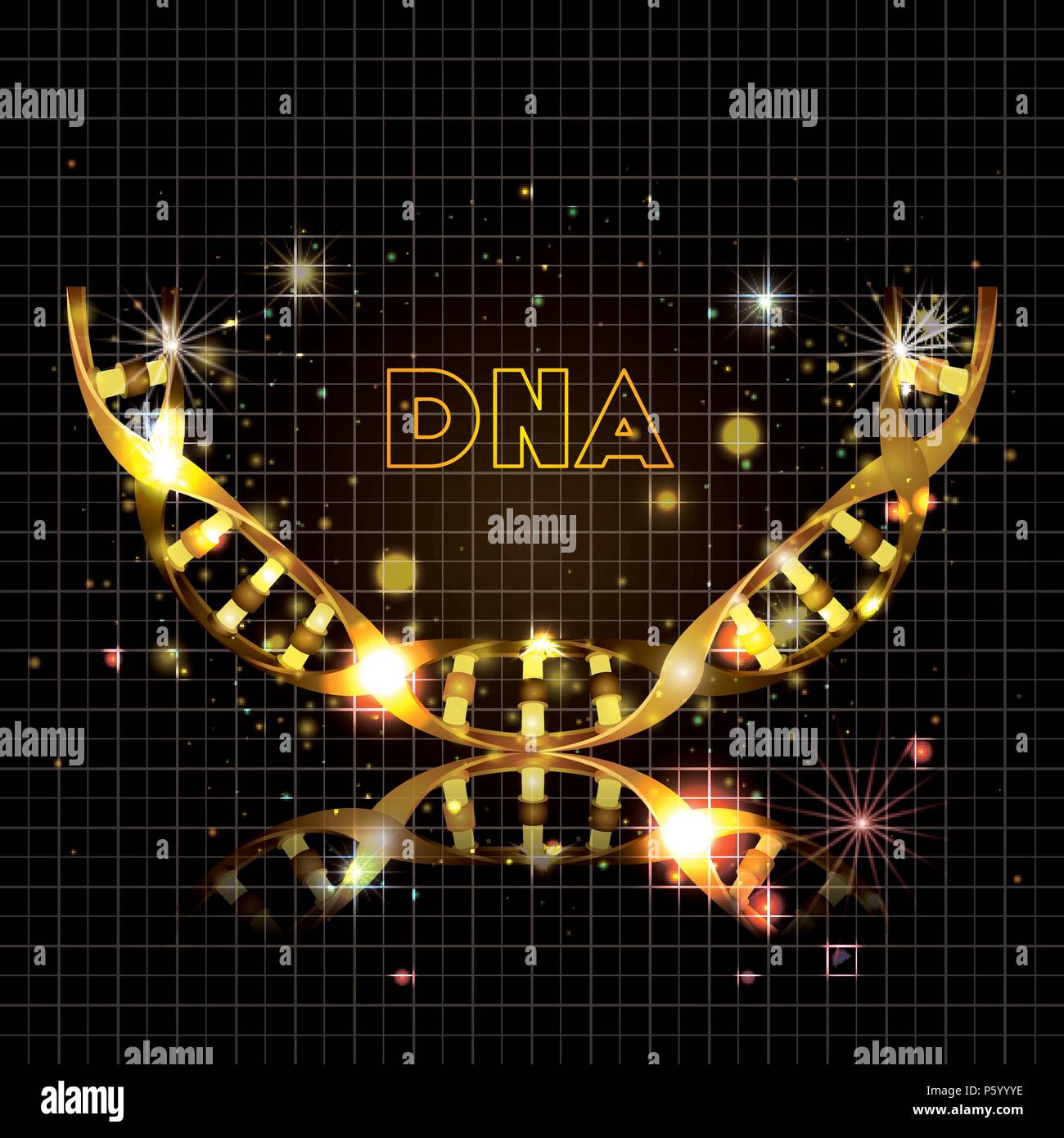 dna molecule half circle golden structure Stock Vector Image & Art - Alamy