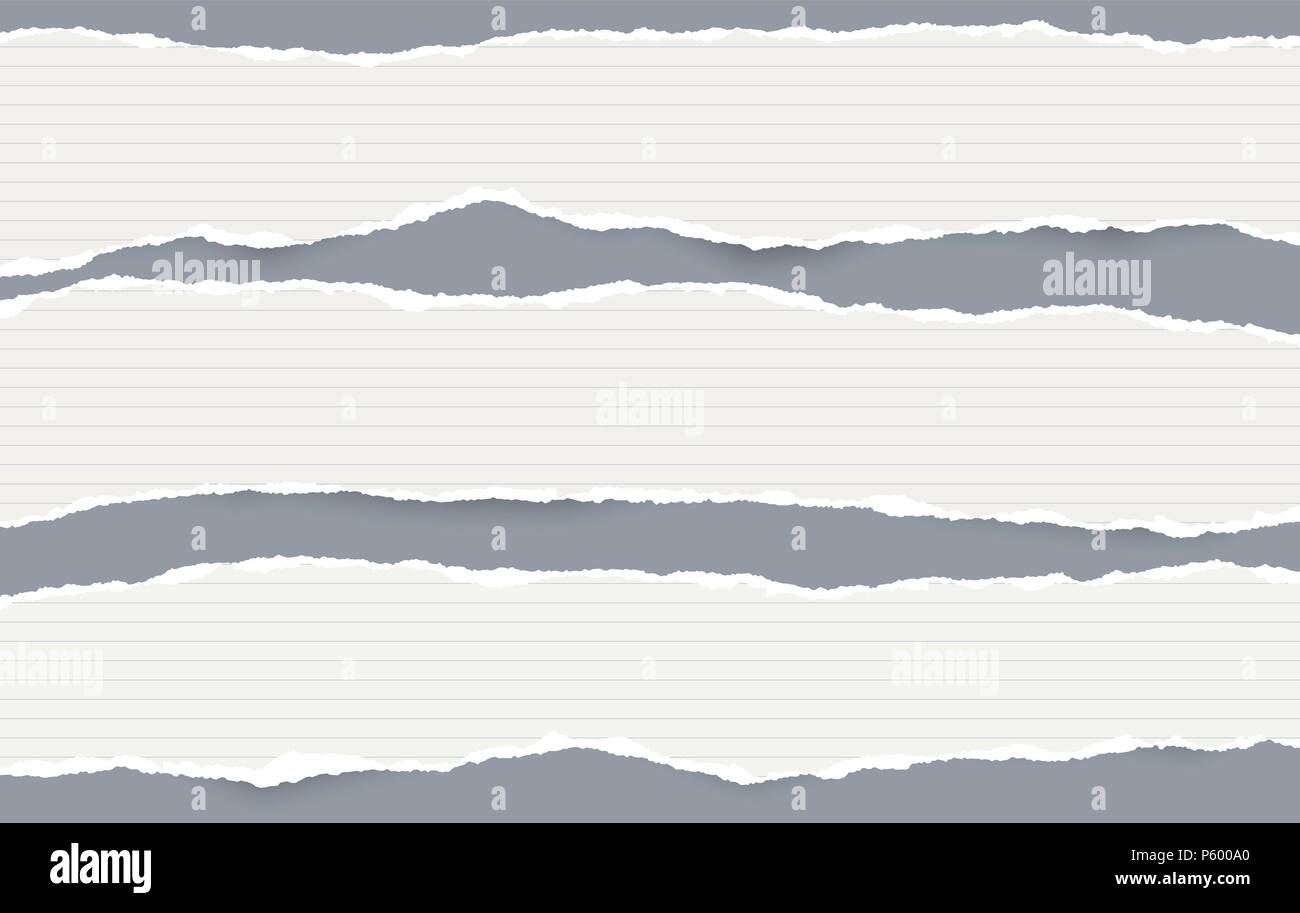 White oblong lined paper strips with torn edges in horizontal position ...