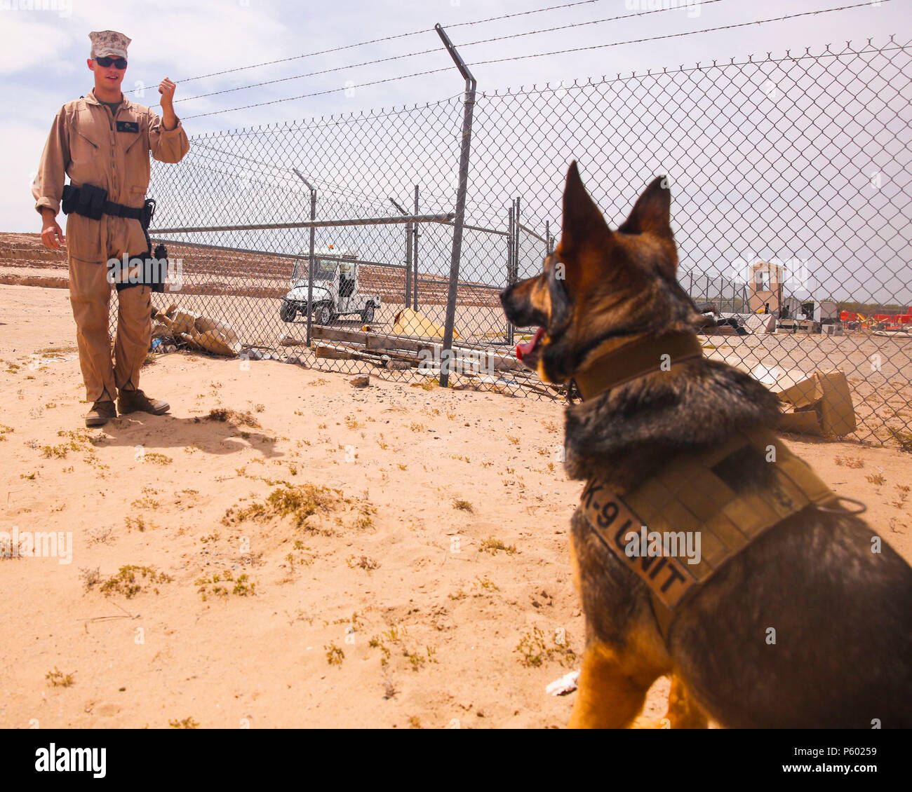Lance Cpl. Chase McConnell, a military working dog handler with the ...