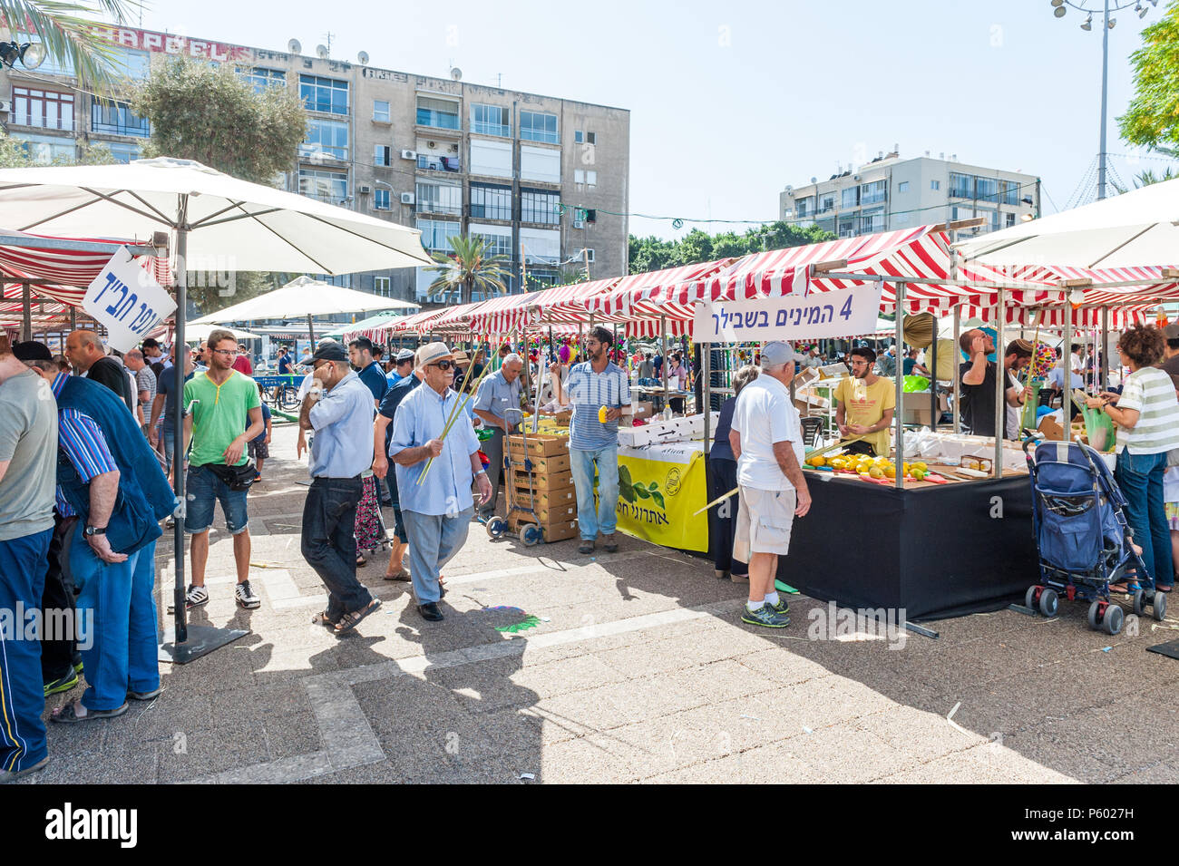 Israel, Tel Aviv - 16 October 2016: Sukkot market on Kikar Rabin square ...