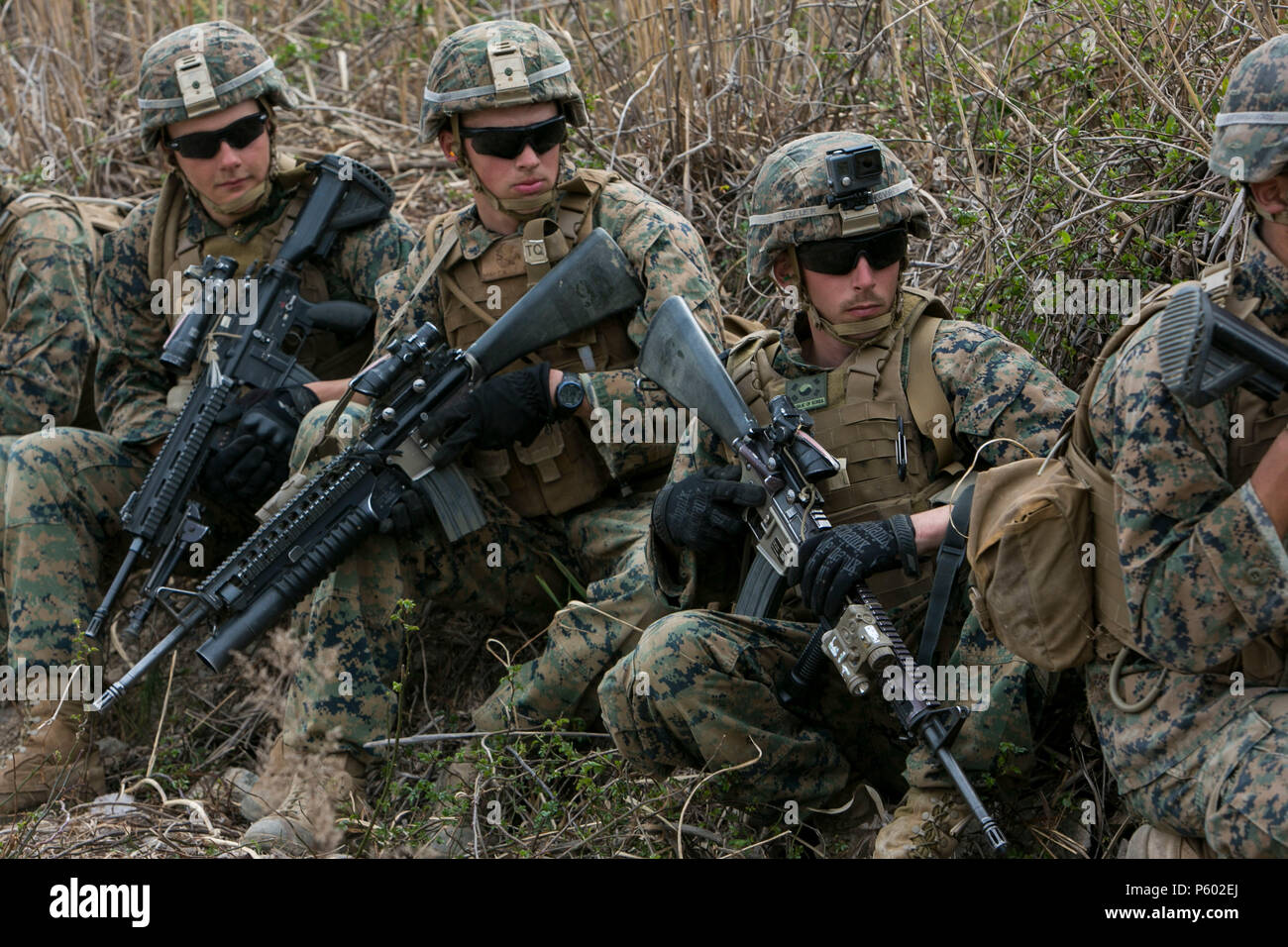 U.S. Marines with Charlie Company, 1st Battalion, 3rd Marine Regiment ...