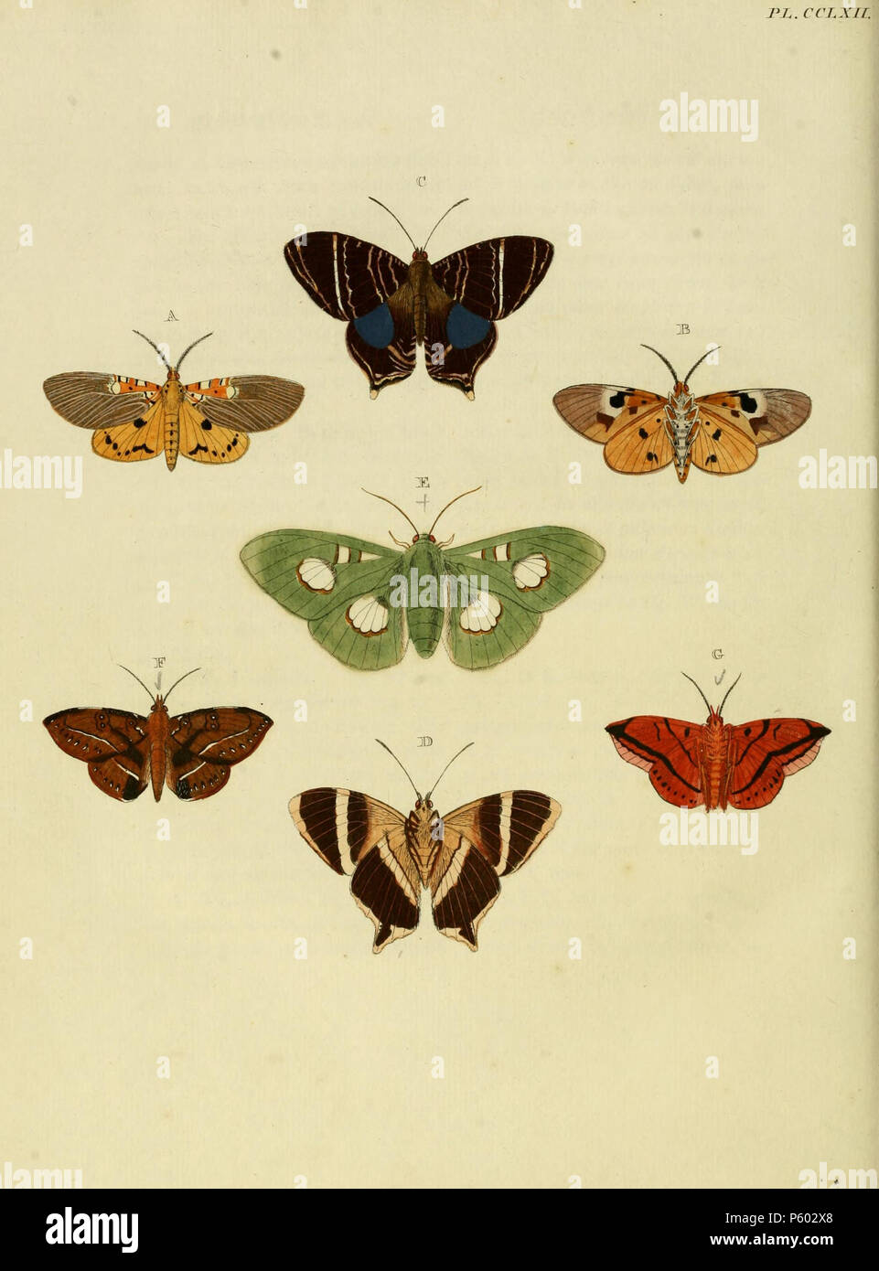 The liris hi-res stock photography and images - Alamy