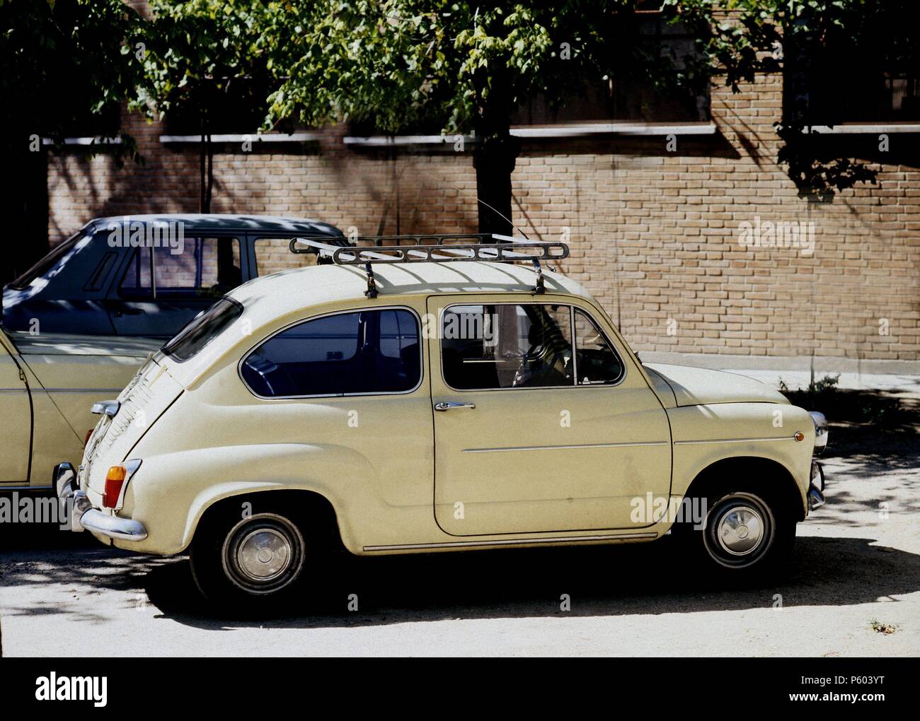 Amarillo claro hi-res stock photography and images - Alamy