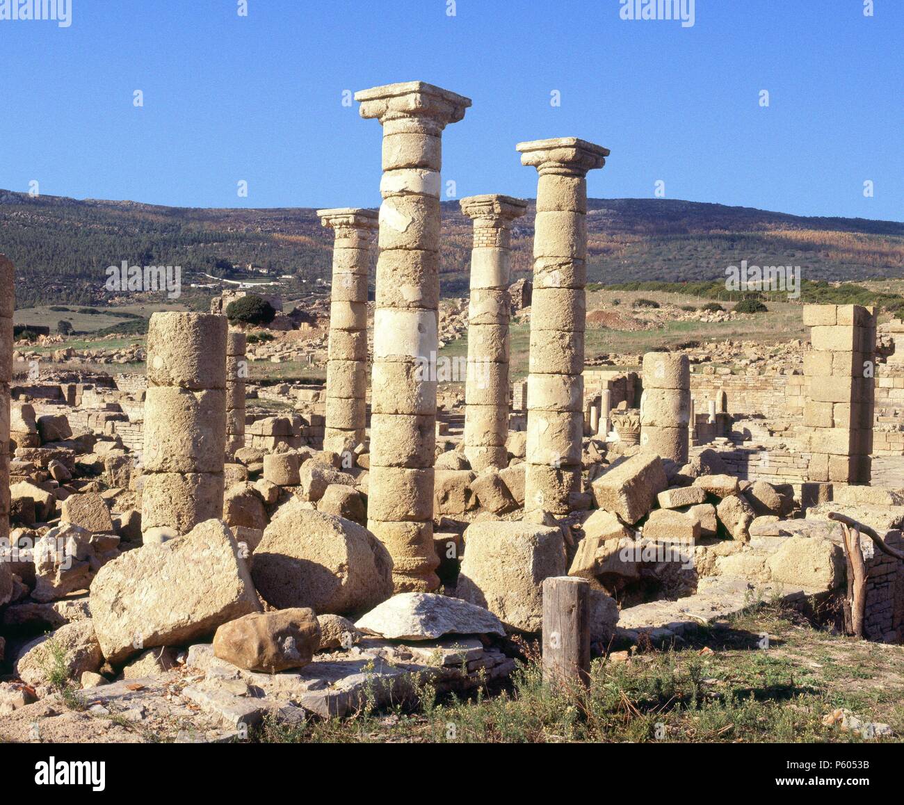 Basílica de bolonia hi-res stock photography and images - Alamy