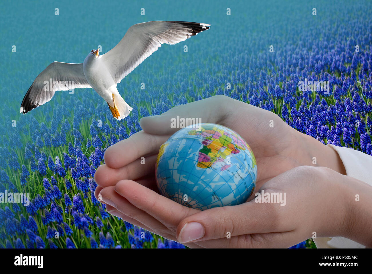 Seagull over a hand holding a little model globe in hand Stock Photo ...