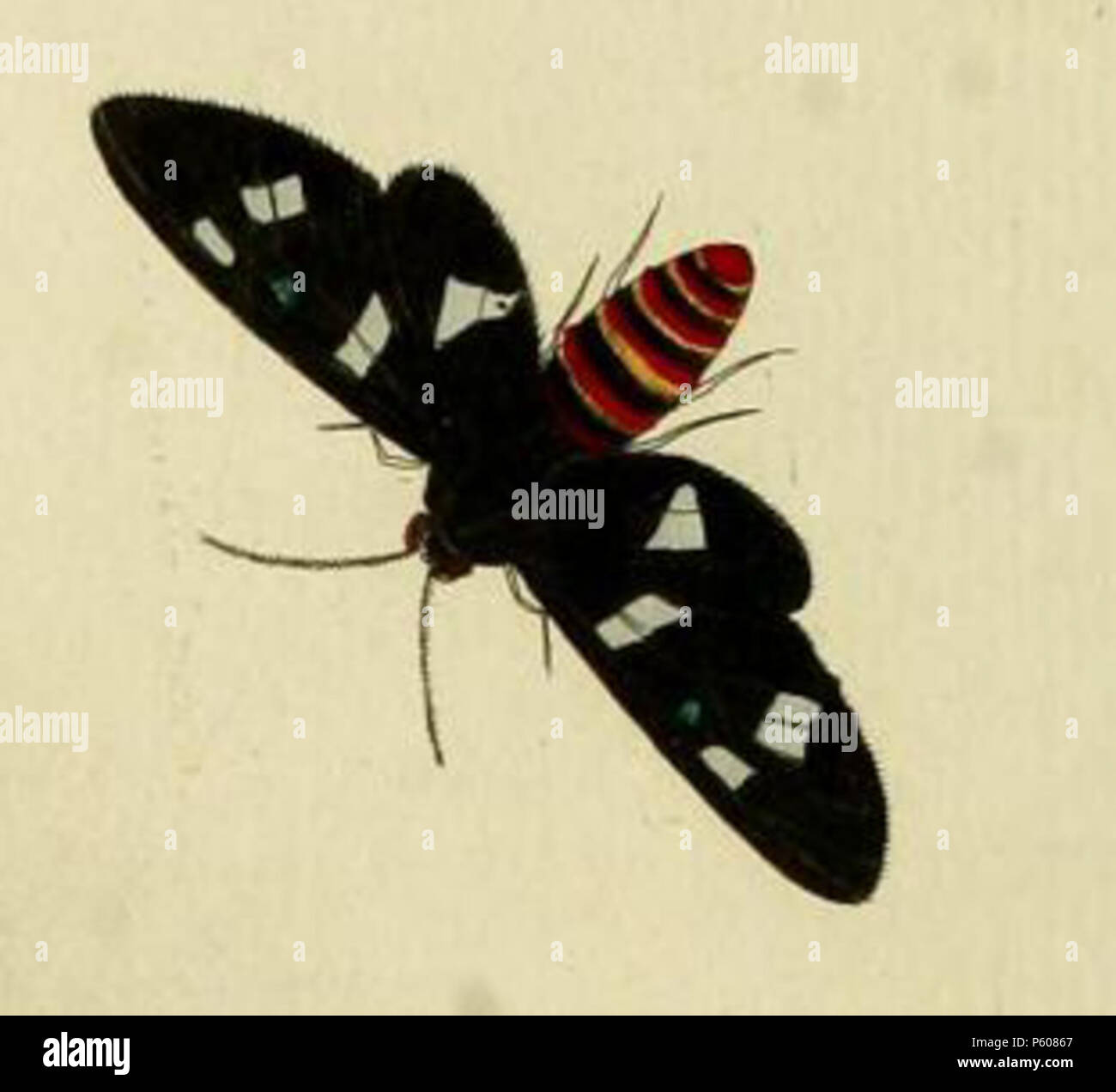 1721 1779 hi-res stock photography and images - Alamy