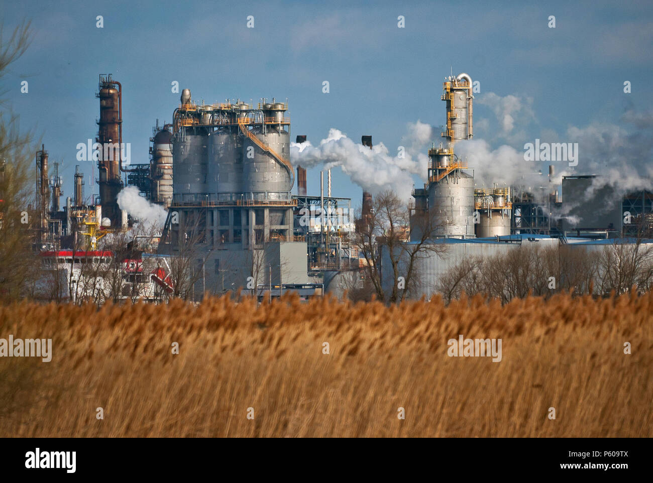 Water enviroment hi-res stock photography and images - Alamy