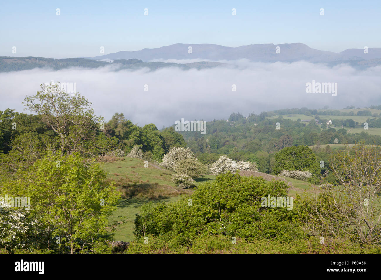 Orrest Head Viewpoint is one of the most popular short walks from ...