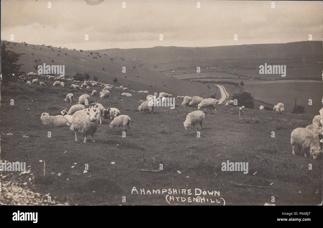 Butser Hill, Petersfield High Resolution Stock Photography and Images ...