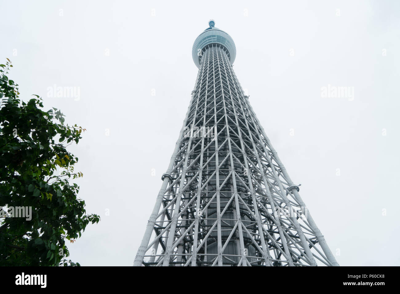 Tokyo Skytree seen from low angle Stock Photo - Alamy